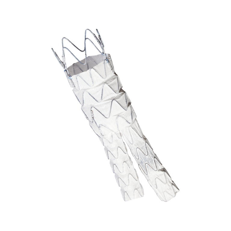 Ankura AAA Stent Graft System - Cardioplus