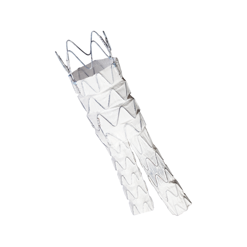 Ankura AAA Stent Graft System - Cardioplus