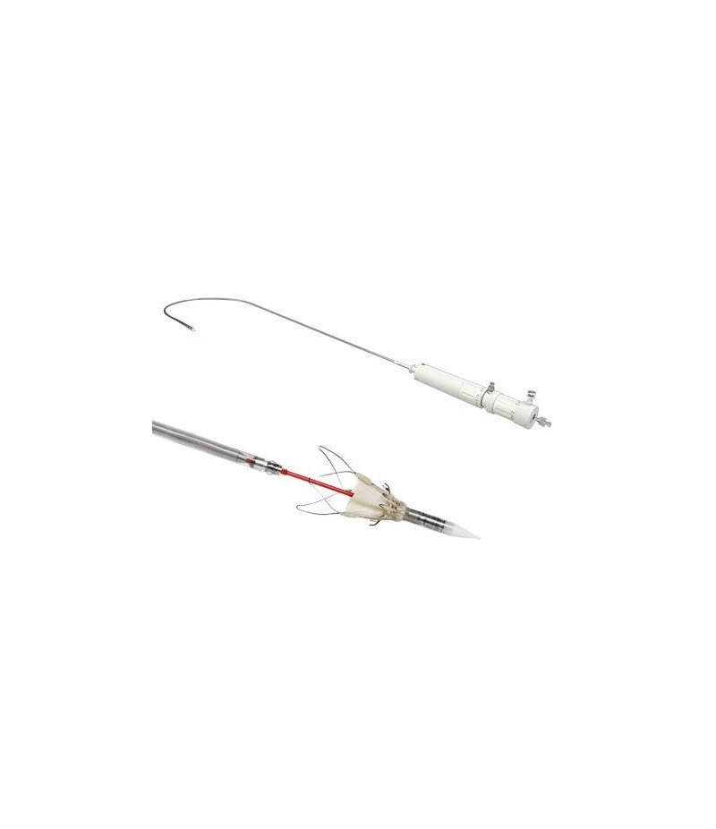 ACURATE neo2™ - Transcatheter Aortic Valve System - Cardioplus