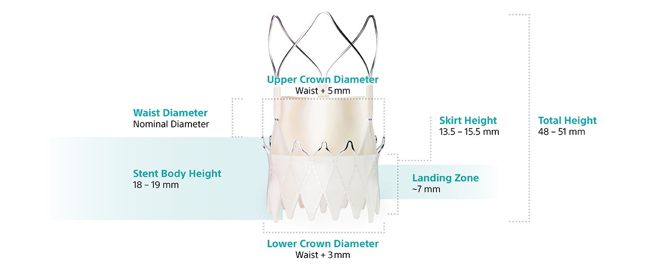 ACURATE neo2™ - Transcatheter Aortic Valve System - Cardioplus