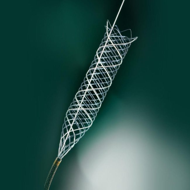 LEO+- Self-Expandable Braided Stent - Cardioplus